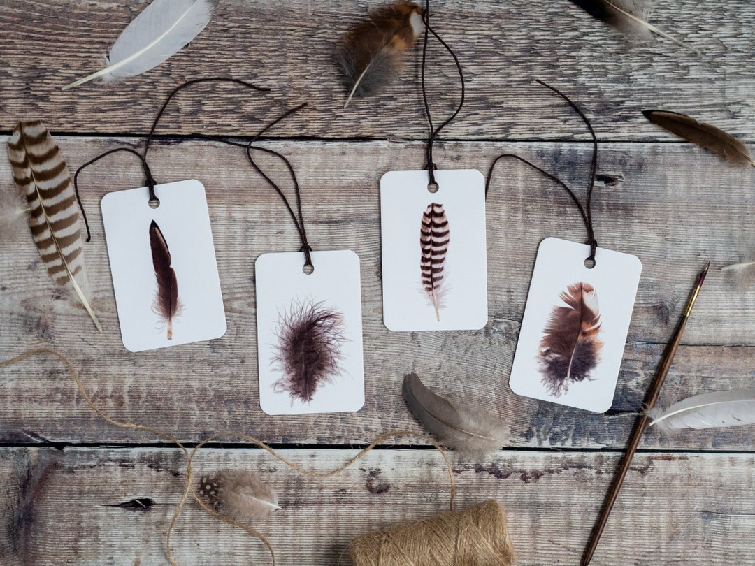 Feather Gift Tags Set of 4 With Brown String Pack of - Etsy