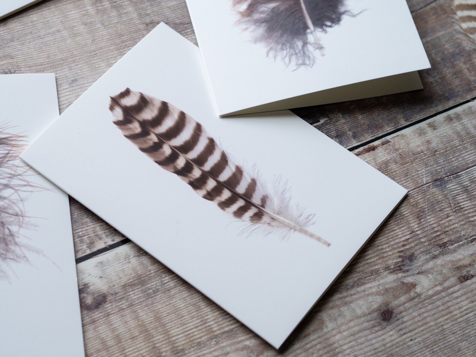 Feather Card Blank Greeting Card / Notecard With Recycled - Etsy