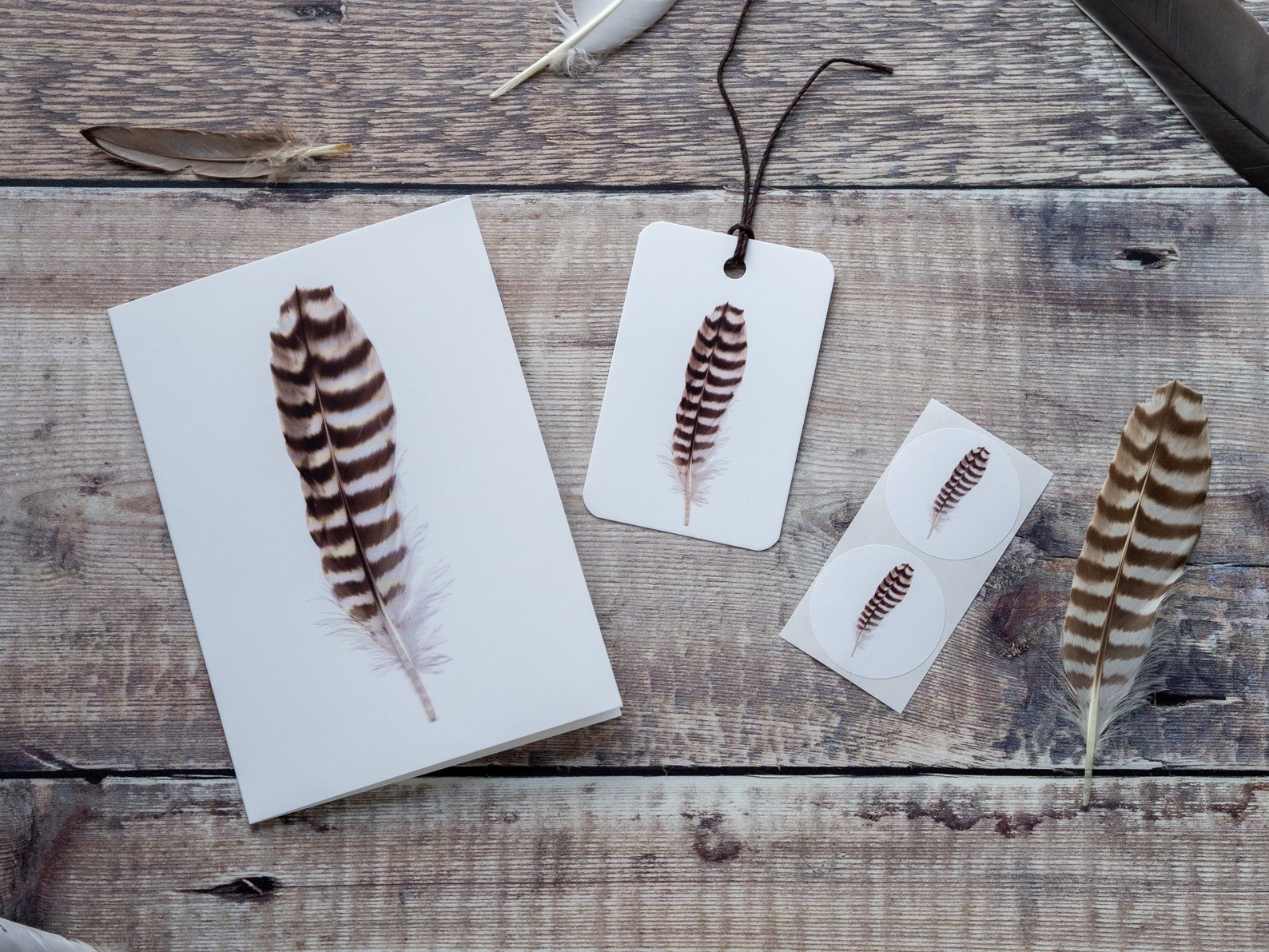 Buzzard Feather Stationery Set Card Sticker & Gift Tag | Etsy