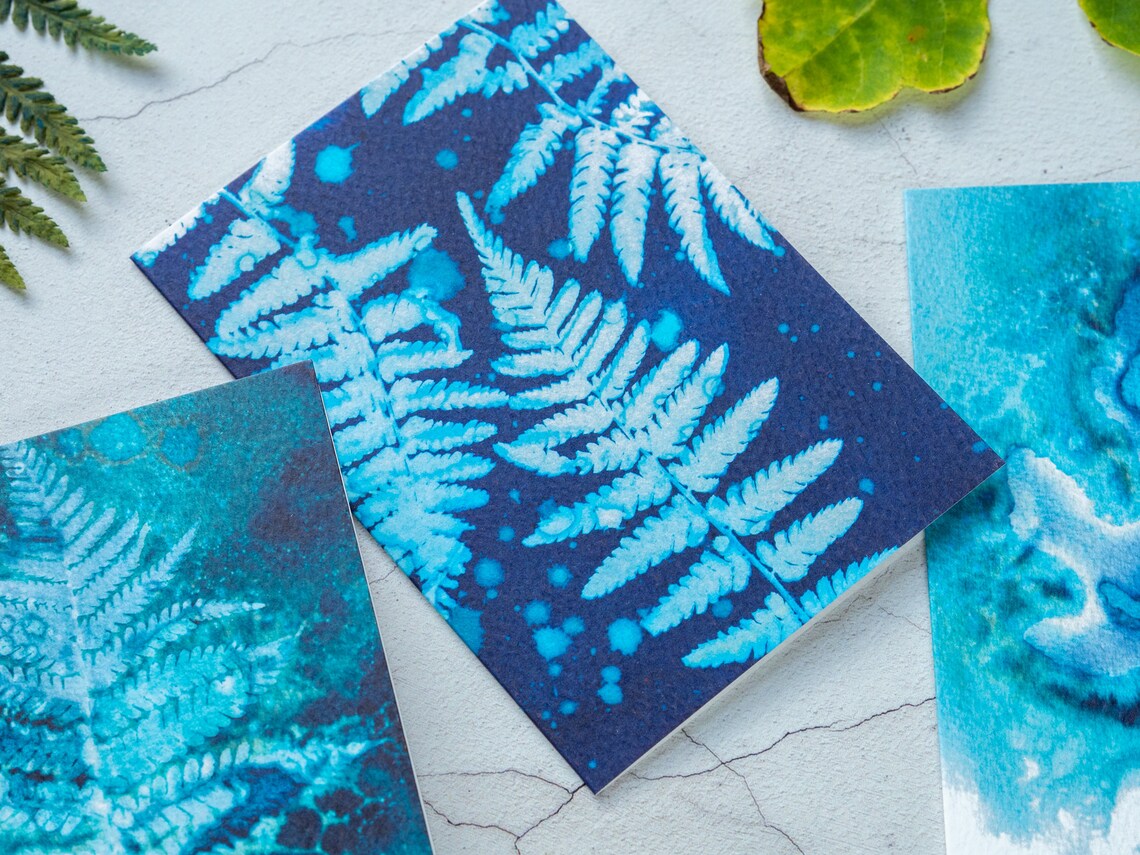 Blue Fern Cyanotype Stationery Set Card Stickers & Gift Tag - Etsy