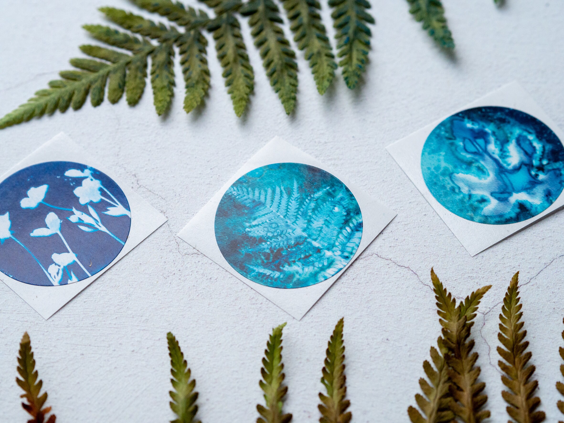 Blue Botanical Cyanotype Stickers Pack of 10 Round Glossy | Etsy