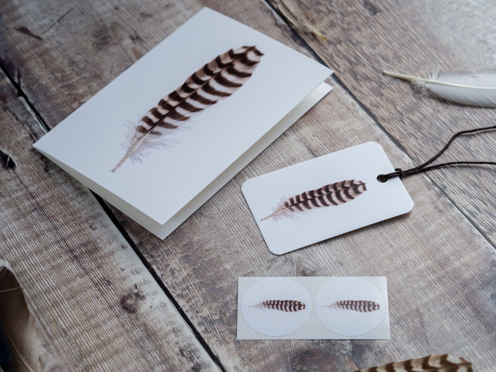 Buzzard Feather Stationery Set Card Sticker & Gift Tag | Etsy
