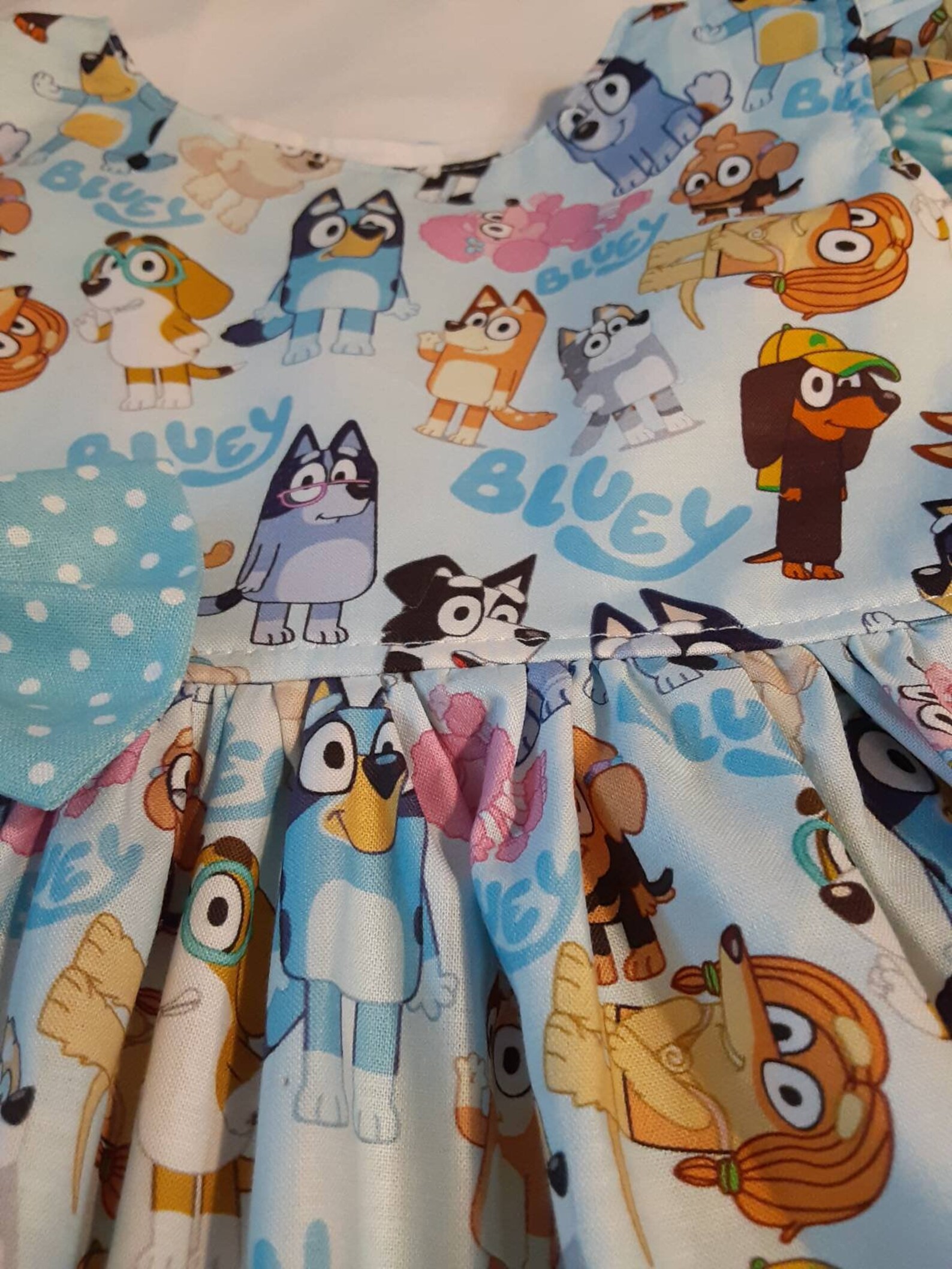 BLUEY Dress Bluey Cartoon Family Bingo Bandit &chilli Bluey Birthday ...