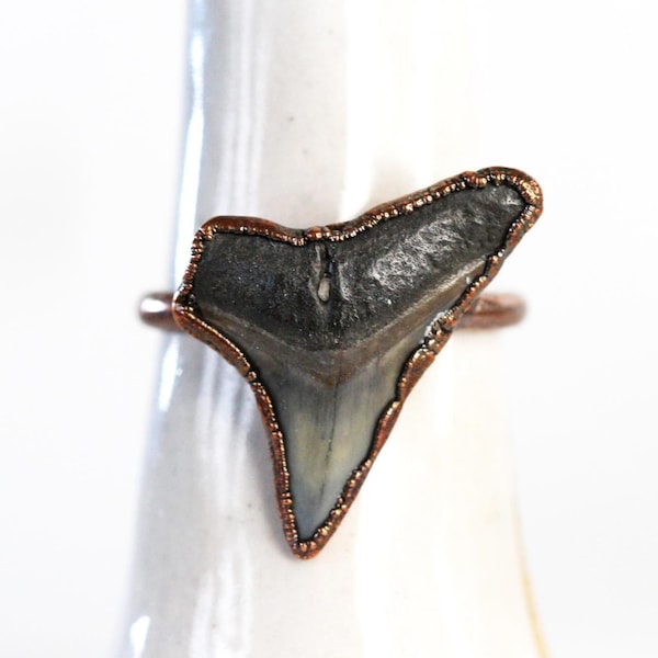 Shark Tooth Ring - Etsy