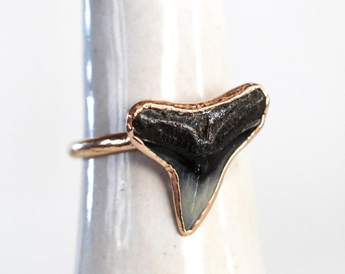 Shark Tooth Ring, Shark Tooth Jewelry, Fossil Ring for Women, Surfer ...