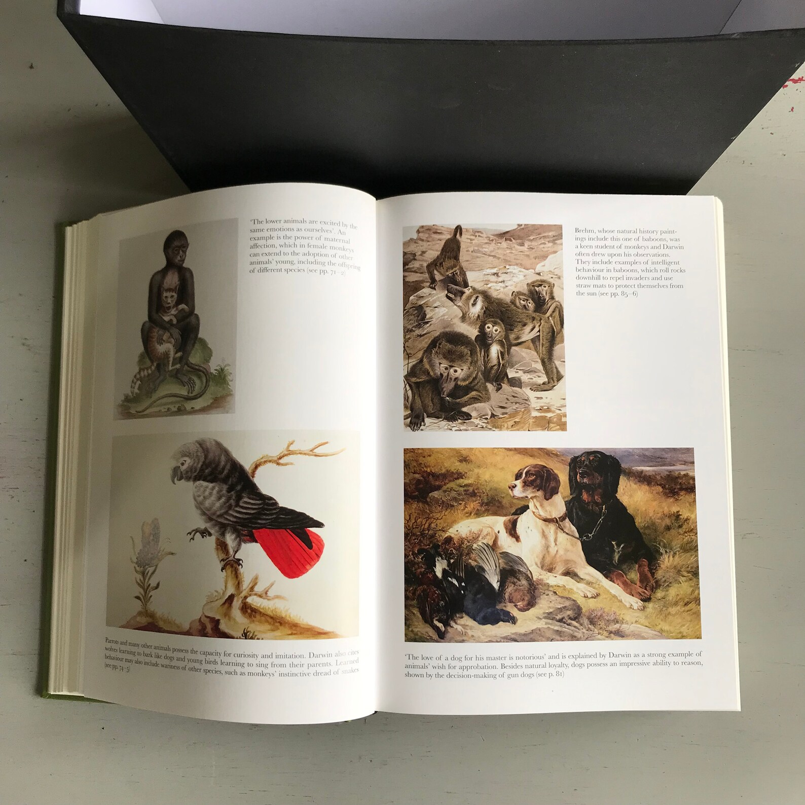 Charles Darwin THE DESCENT of MAN Folio Society Book - Etsy UK