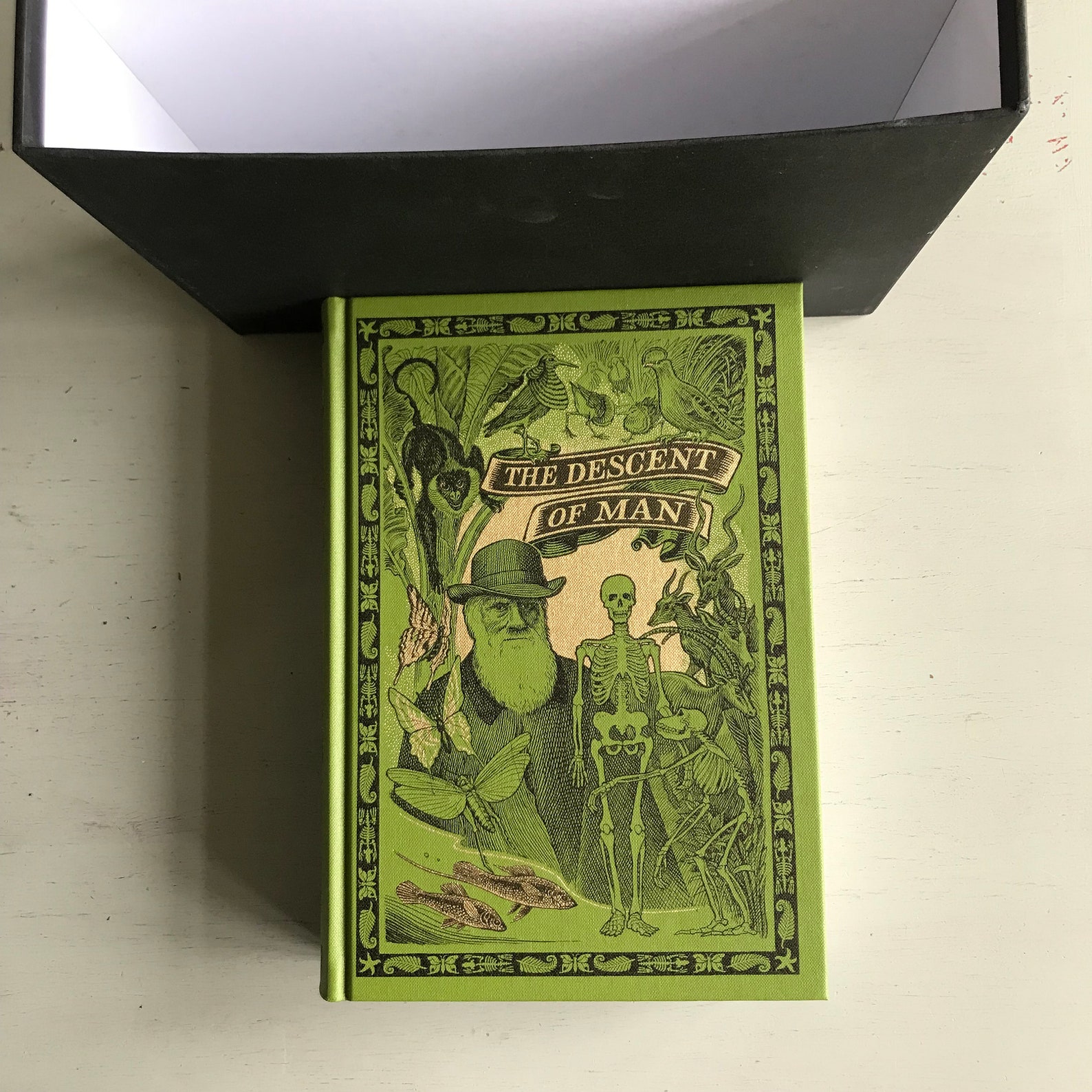 Charles Darwin THE DESCENT of MAN Folio Society Book - Etsy UK