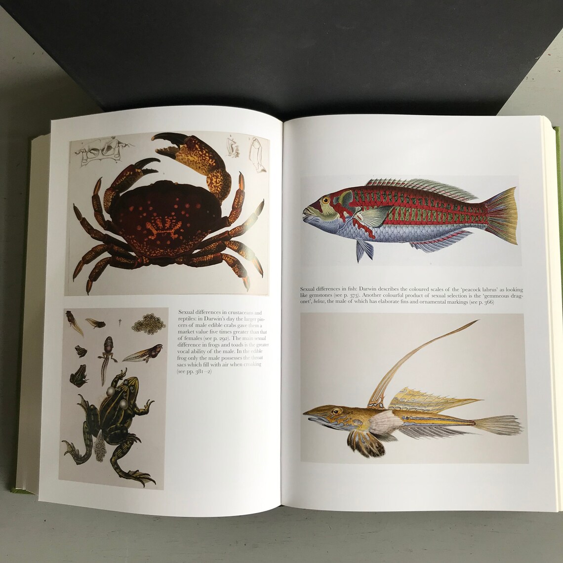 Charles Darwin THE DESCENT of MAN Folio Society Book - Etsy UK