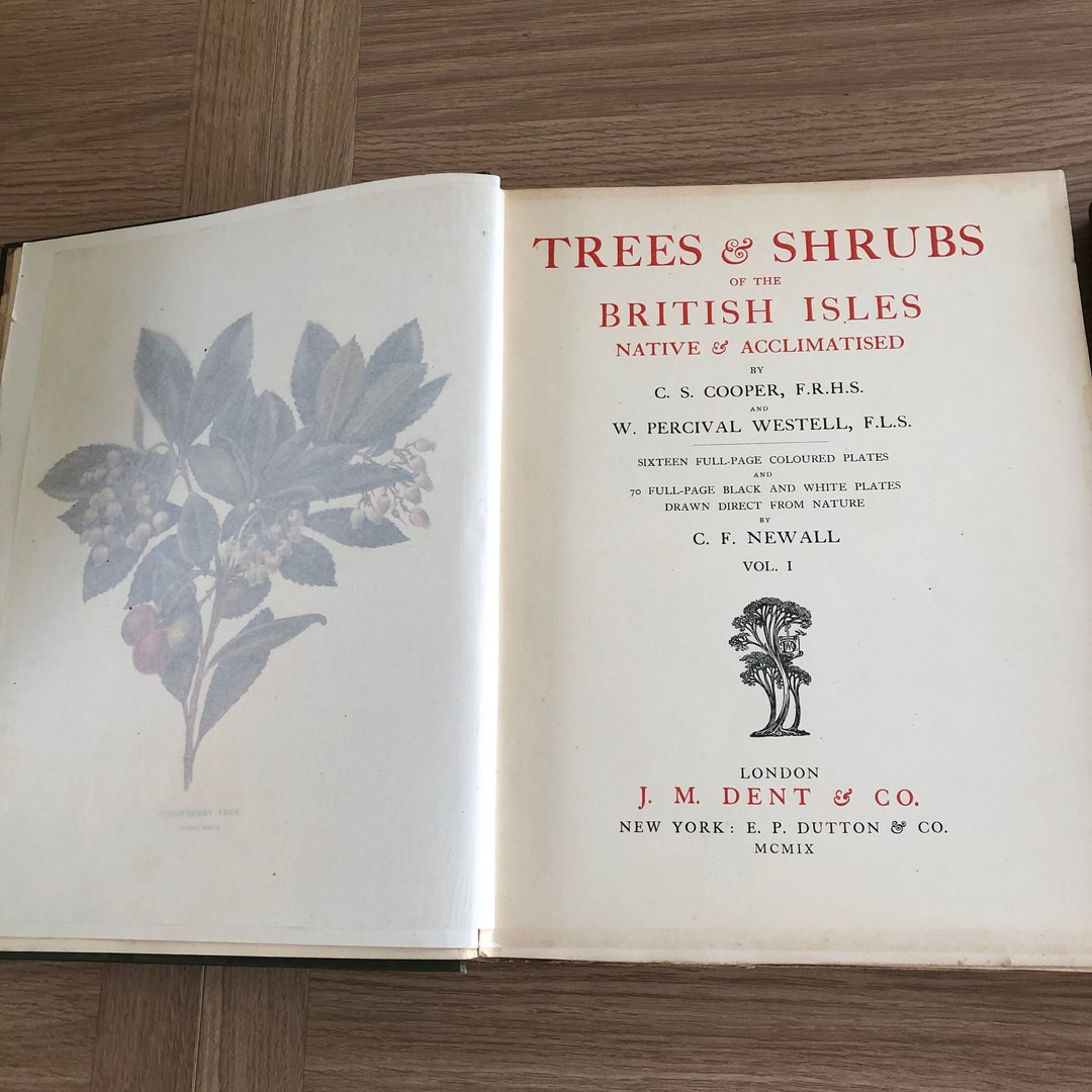 TREES AND SHRUBS of the British Isles - 2 Volumes - Etsy