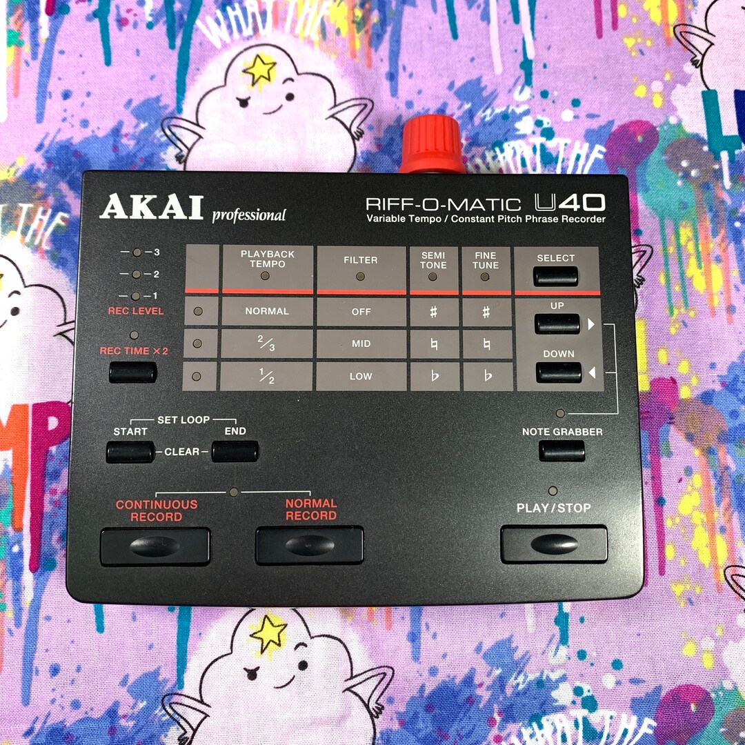 MODDED Akai U40 16-BIT Sampler Looper Timestretch Freeze Reverse Multifaceted Secret Weapon ...