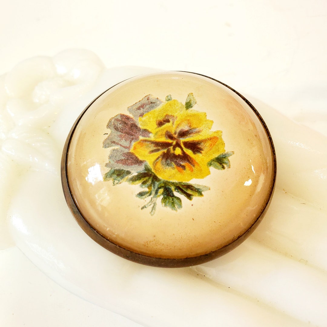 Antique Bridle Rosette, Floral Design With Convex Dome Glass, Vintage ...