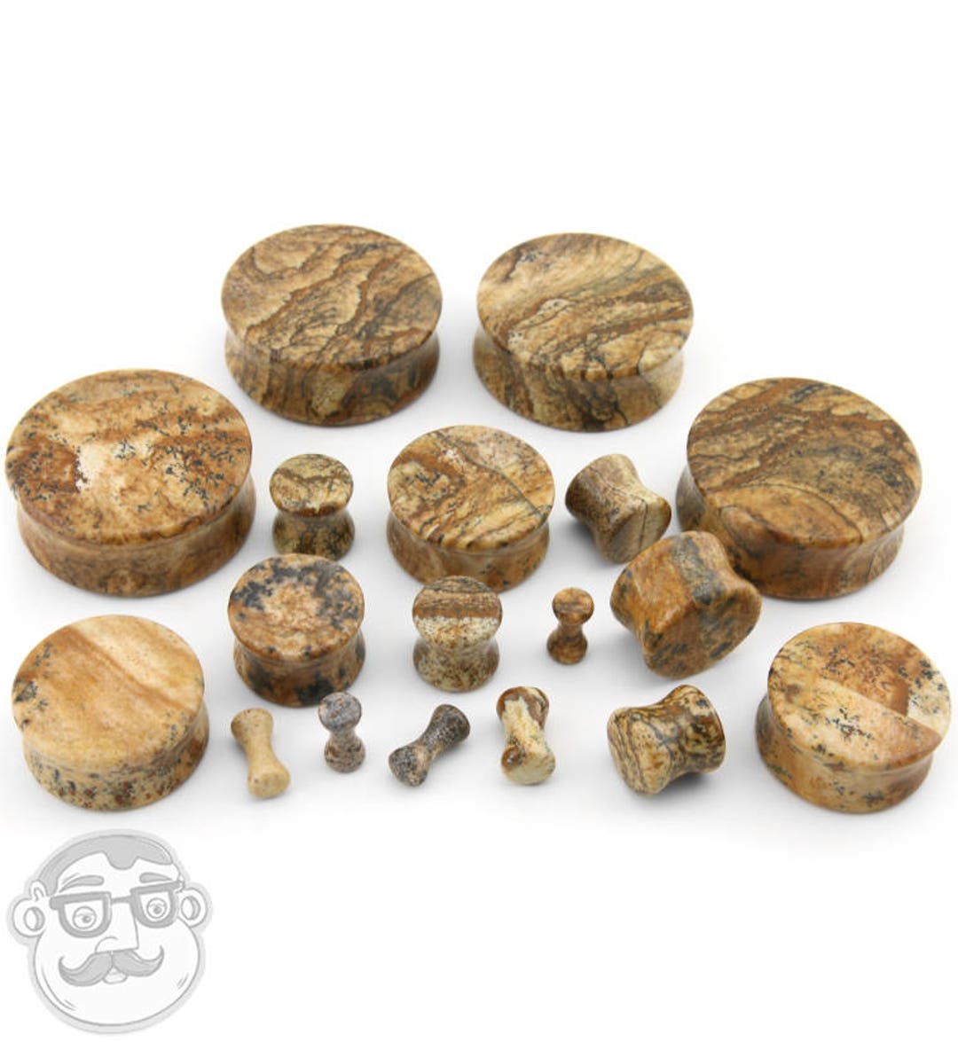 Picture Jasper Stone Plugs - Etsy