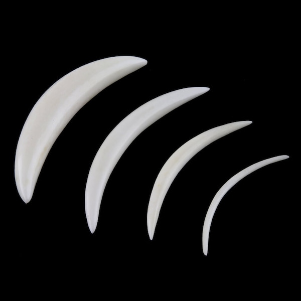 Septum Tusk 0 Gauge - Etsy