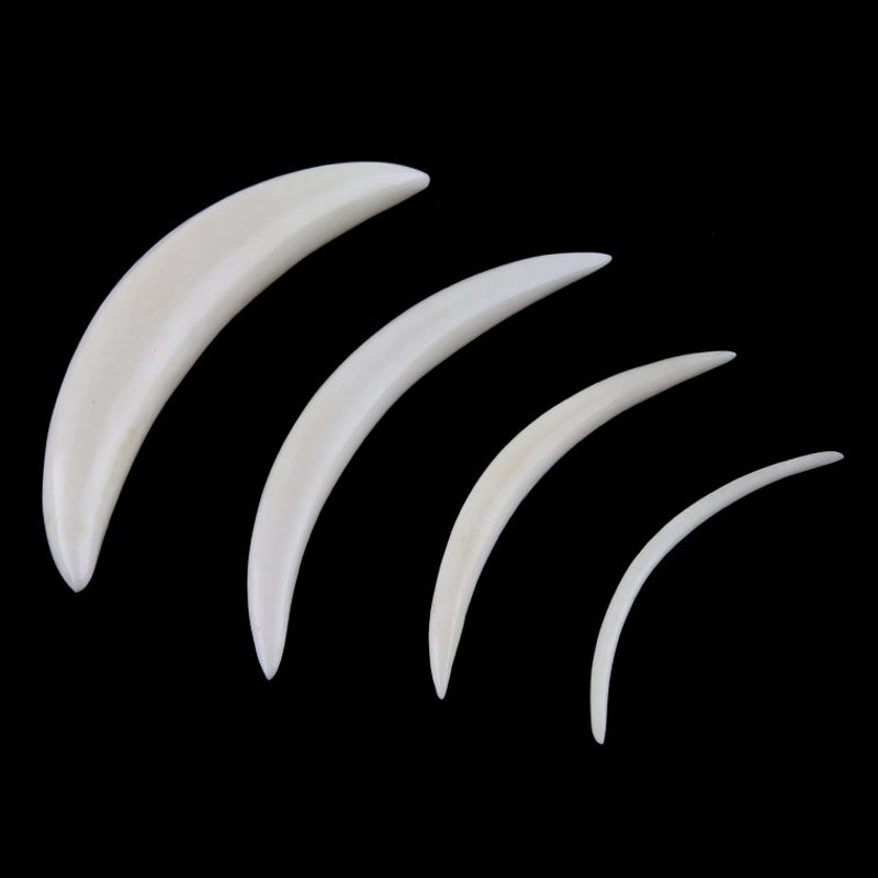 Septum Tusk 0 Gauge - Etsy