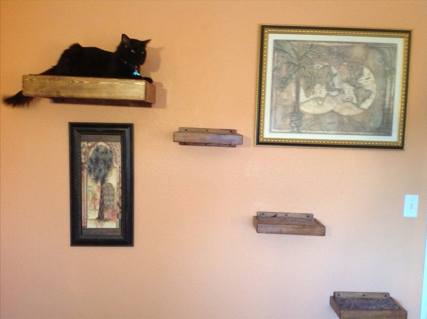 Set of Five Four Floating Cat Shelves One Floating Cat Bed - Etsy