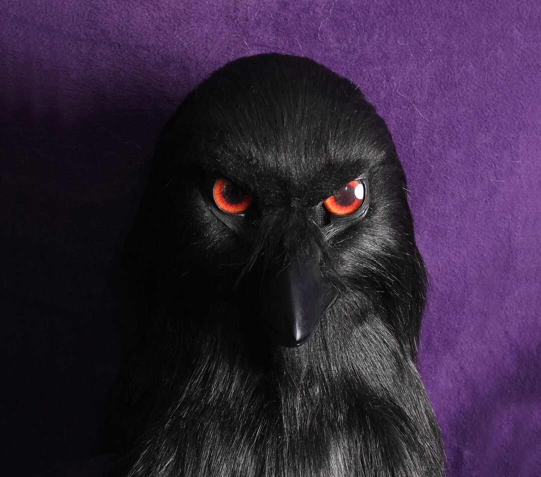 Raven Crow Fursuit Raven Head Realistic Mask, Articulated Jaw ...