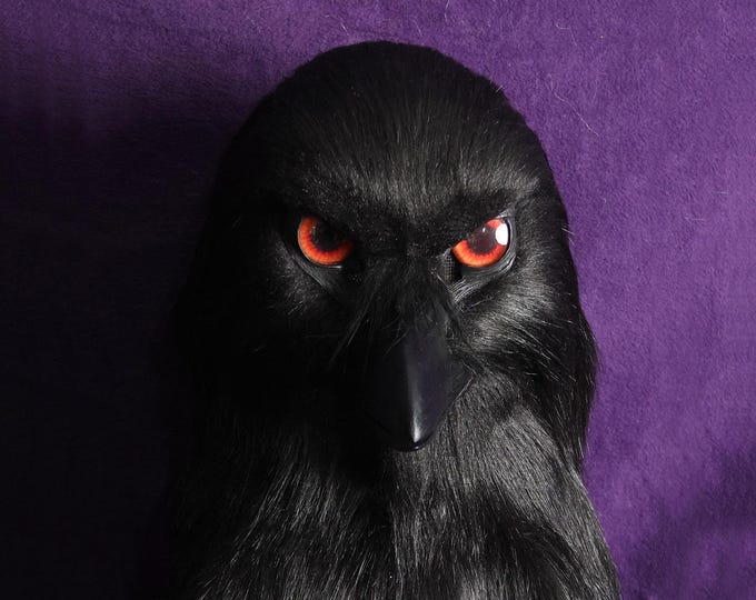 Raven Crow Fursuit Raven Head Realistic Mask, Articulated Jaw ...