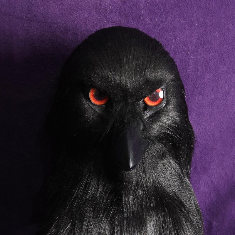 Furry Costume - Etsy