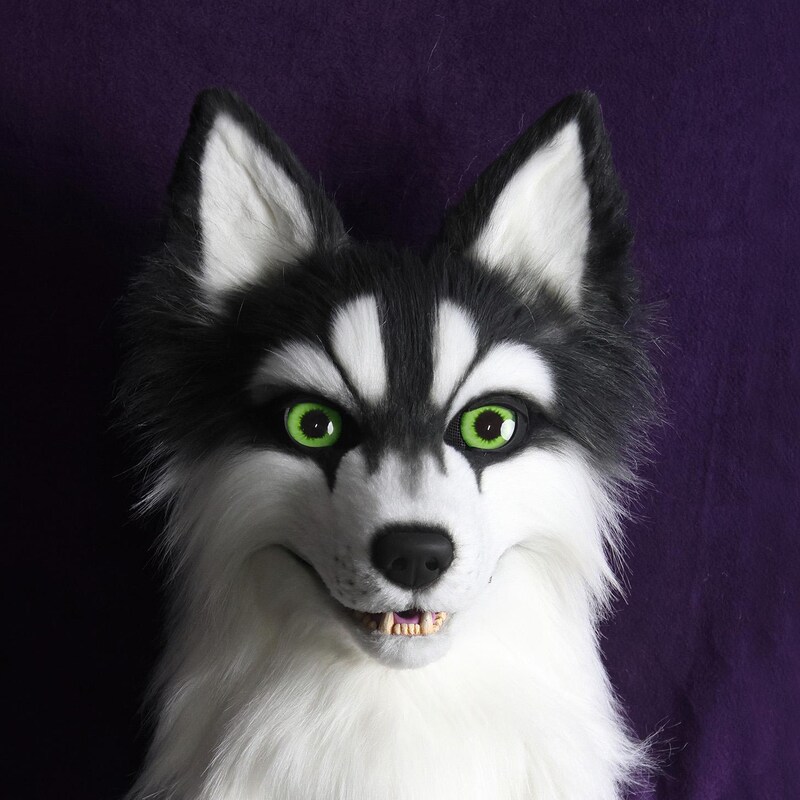 Quadsuit Fursuit - Etsy