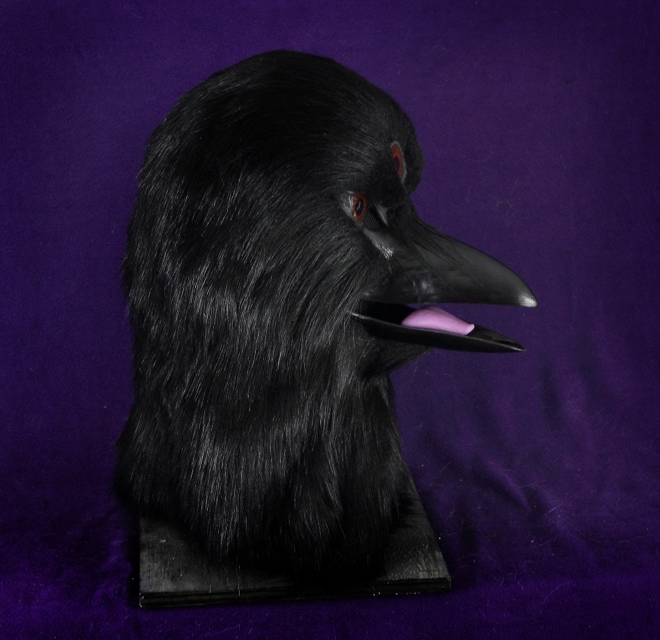 Crow Fursuit Máscara realista de cabeza de cuervo de tres | Etsy México