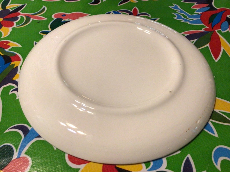 Vintage Ceramic Souvenir Plate Rochester New York the - Etsy