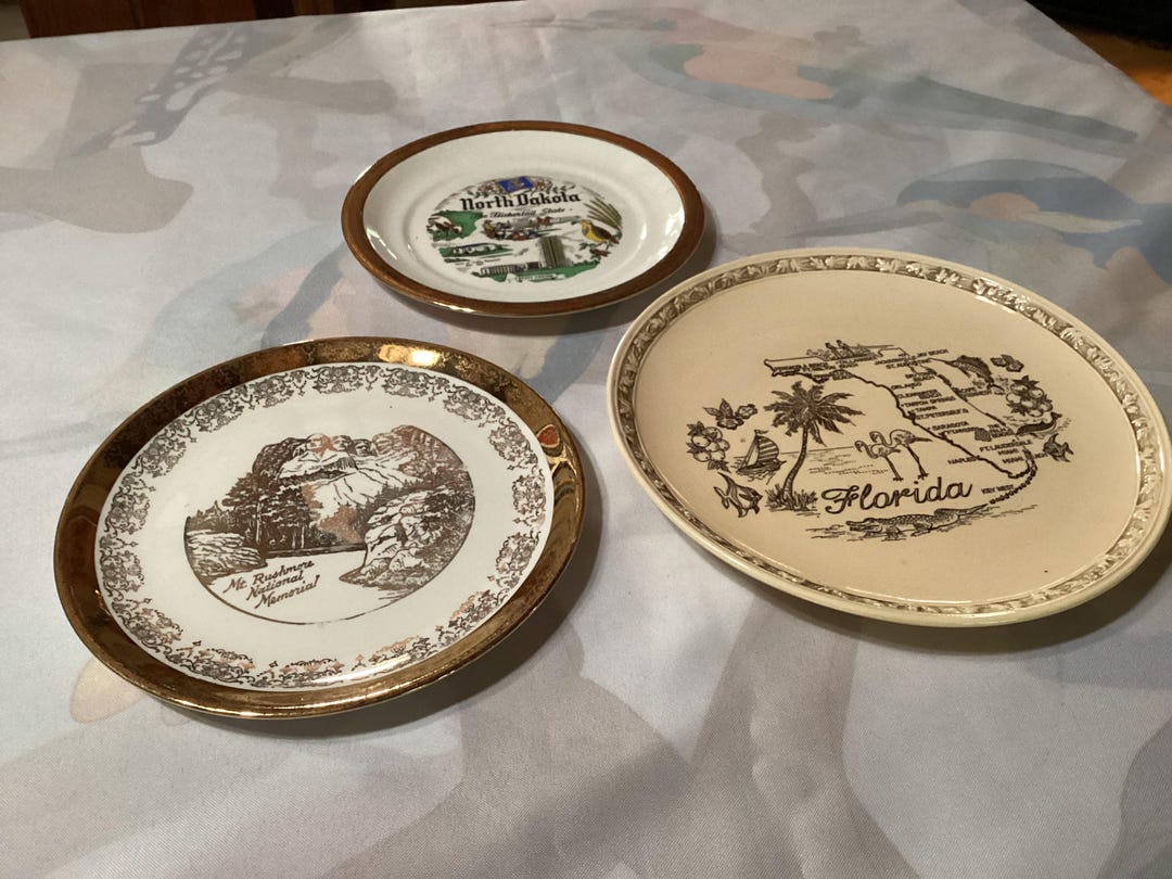 Vintage Ceramic Souvenir State or Monument Plates- Texas, North Dakota ...
