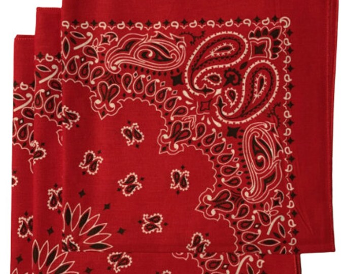 Red Floral Paisley Bandana, 20 X 21 Inches, Blue Border Bandana, 100% ...
