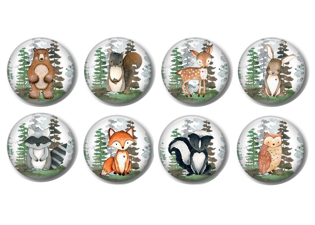 Set of 8, Woodland Animal Knobs, Woodland Animals, Watercolor, Woodland Knobs, Nursery Decor ...
