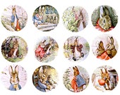 Set of 8 Peter Rabbit Beatrix Potter Cabinet Dresser Drawer - Etsy
