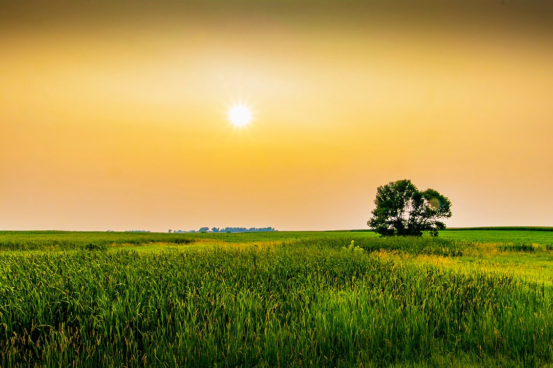 Prairie Sunset Fine Art Print 20230722 Prairie Sunset - Etsy