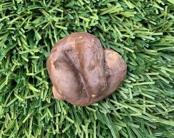 Fake Poop - Etsy