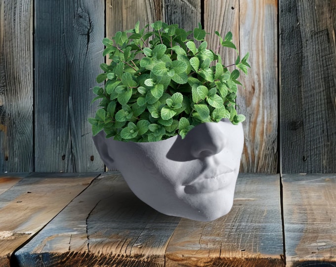 Small Face Planter Pot Garden Oddity Female Nose Mouth Ears - Etsy