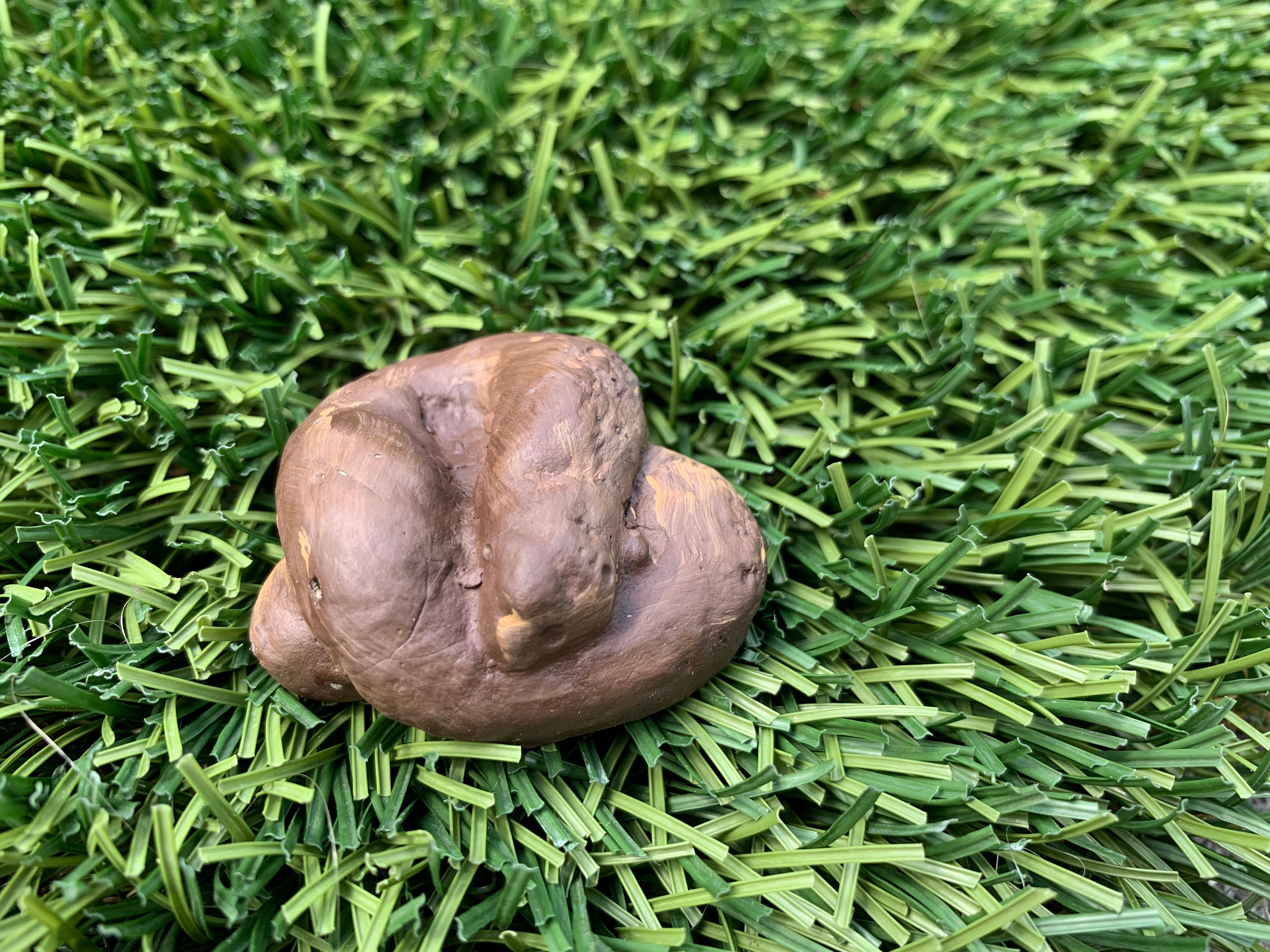 Fake Poo Cement Poop Funny Gag Gift | Etsy