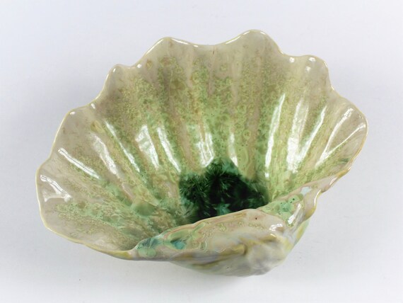 Ceramic Shells - CrystalCoveCeramics