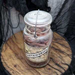 Witches Apothecary, Earthworms, Vintage Glass Ball Jar, OAK Handmade ...