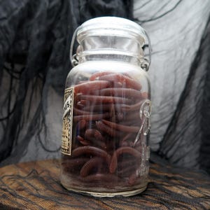 Witches Apothecary, Earthworms, Vintage Glass Ball Jar, OAK Handmade ...