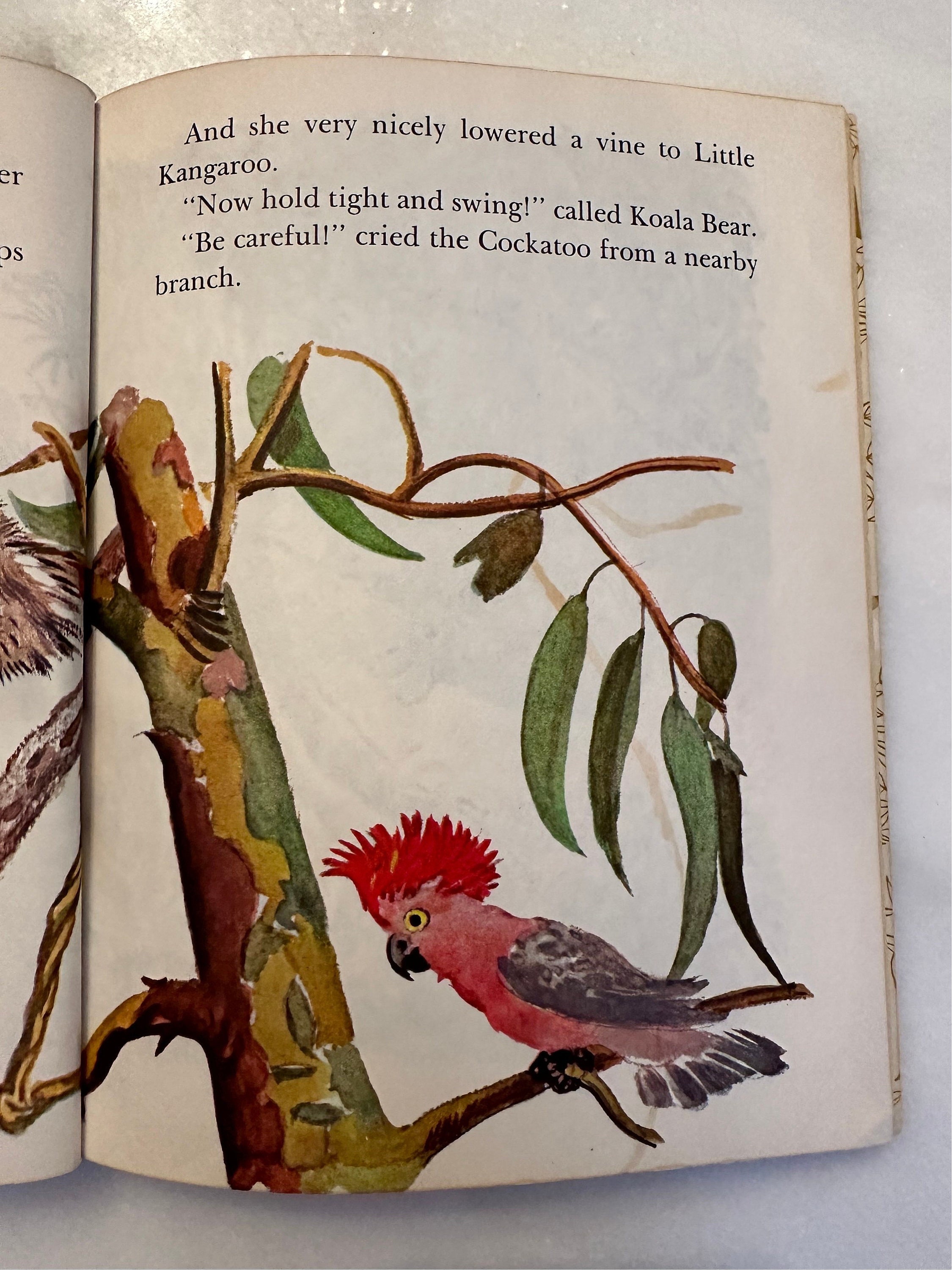 Hop, Little Kangaroo Little Golden Book - Etsy