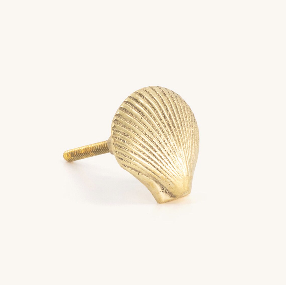Handmade Brass Shell Knob - Drawer Knob | Cabinet Knobs| Hook| Pommel ...