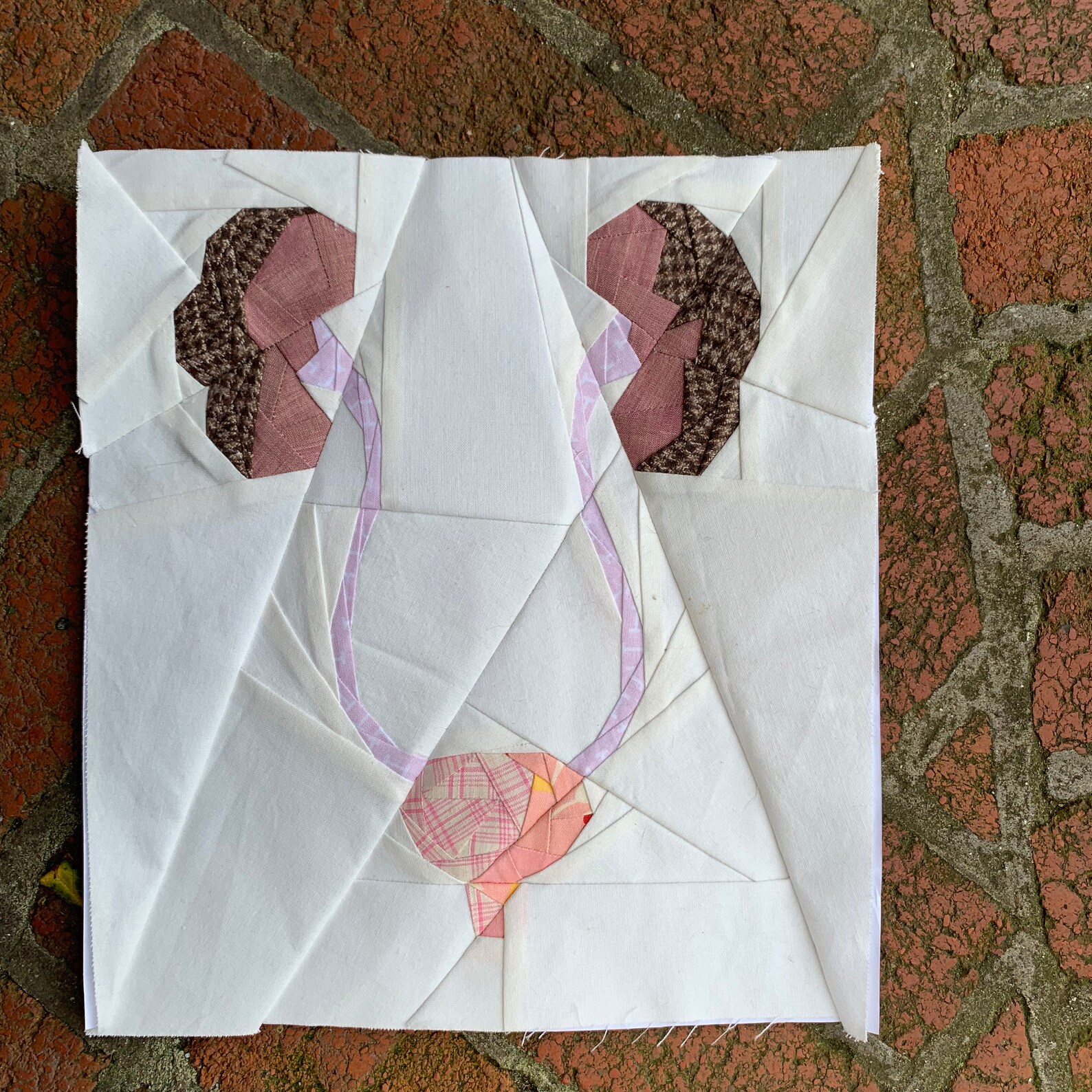 Kidney and Bladder Foundation Paper Piecing Pattern - Etsy