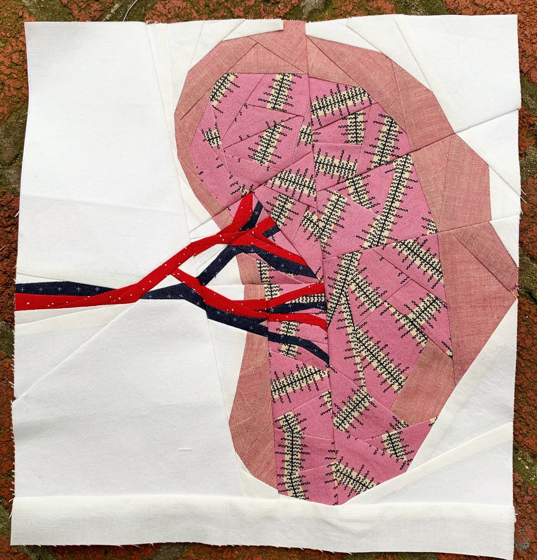 Spleen Organ Foundation Paper Piecing Pattern - Etsy