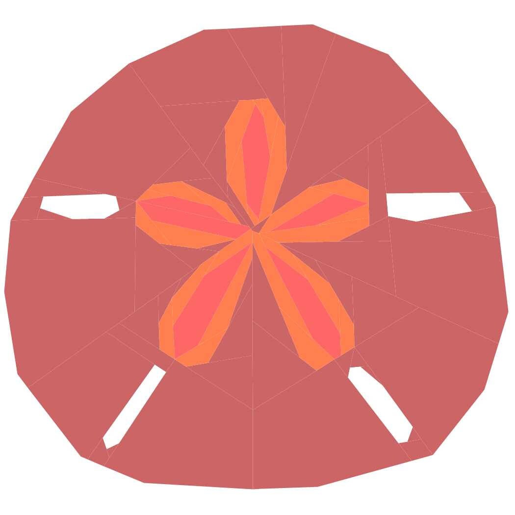 Sand Dollar Foundation Paper Piecing Pattern - Etsy