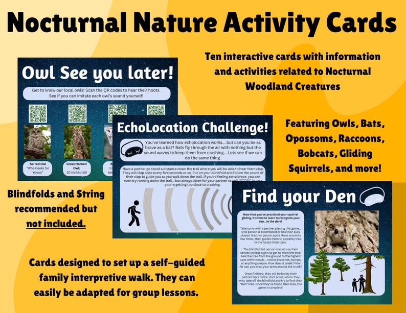 Nocturnal Nature Activity Cards - Etsy