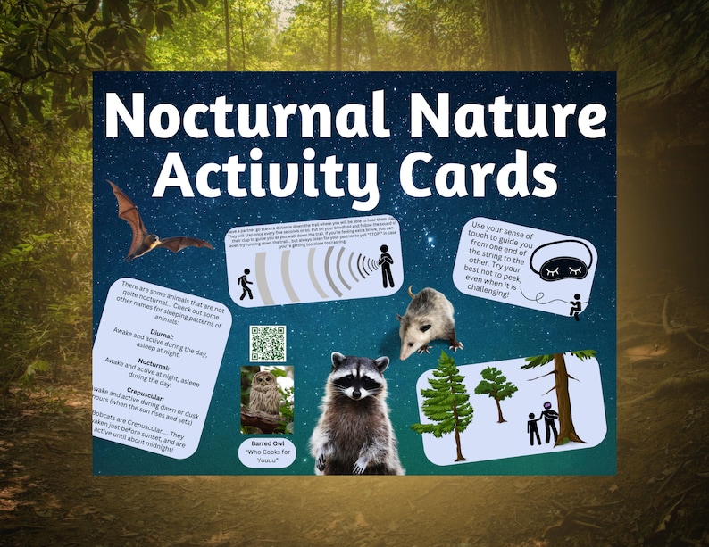 Nocturnal Nature Activity Cards - Etsy
