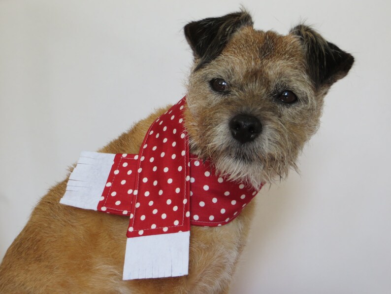 Bufanda de perro estampada con tamaño de fleco pequeño - Etsy España
