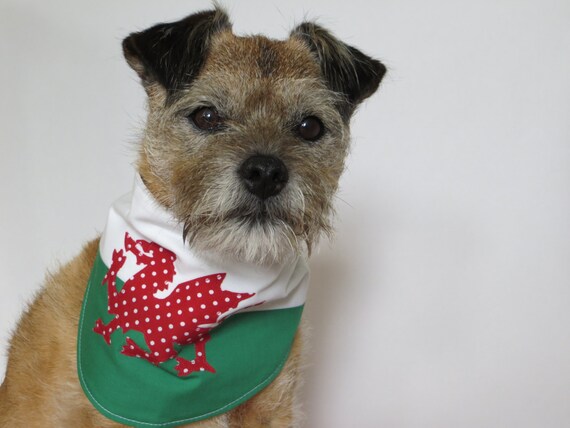 Welsh National Flag Bandana Pet Accessories Pet Supplies etna.com.pe