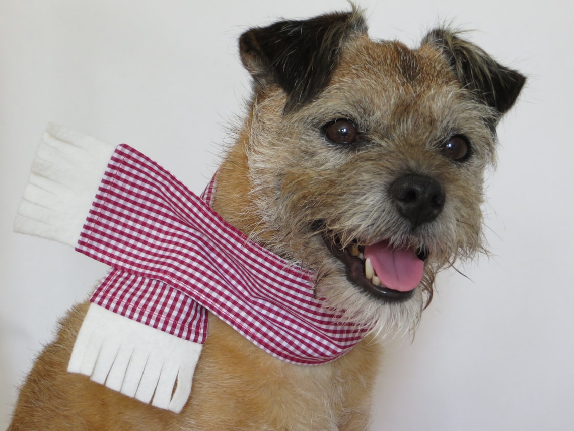 Bufanda de perro estampada con tamaño de fleco pequeño | Etsy España