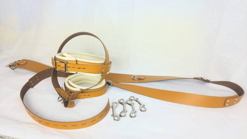Medical Restraints Head Restraint Head Harness Collar Hospital Medical ...