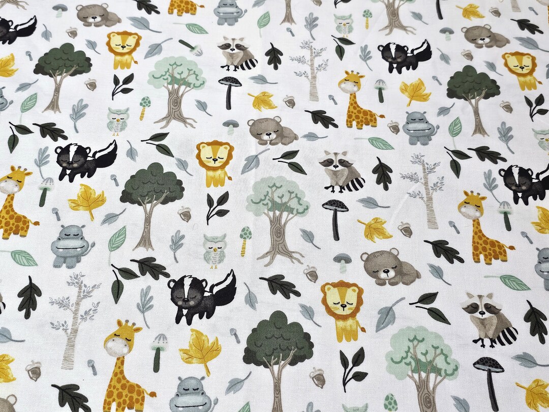 Zoo Safari Animals Cotton Fabric | Riley Blake, Echo Park - Etsy