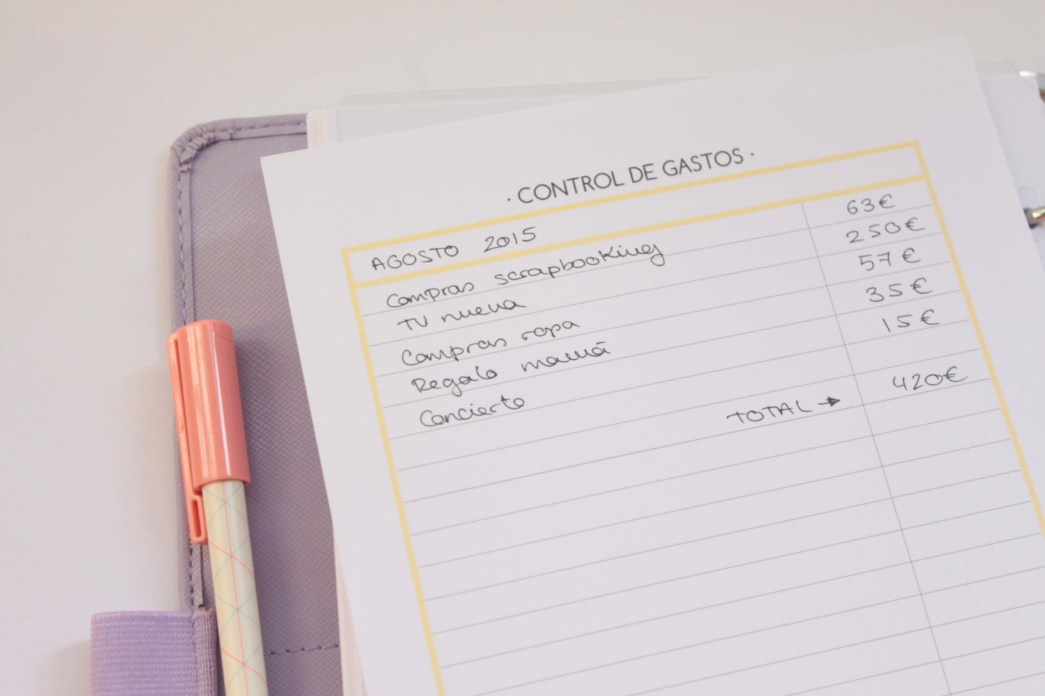 Control de gastos Clear Colours DIGITAL | Etsy