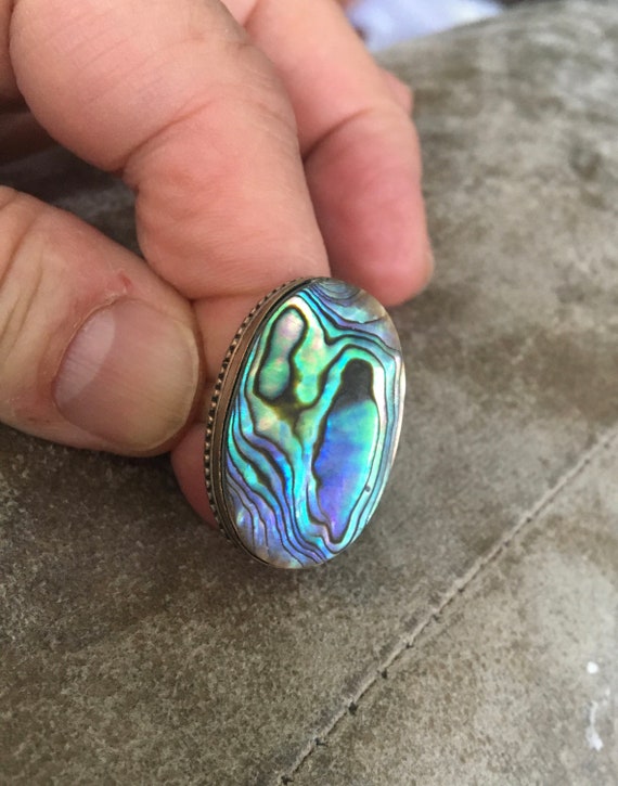 beautiful abalone shell - Gem